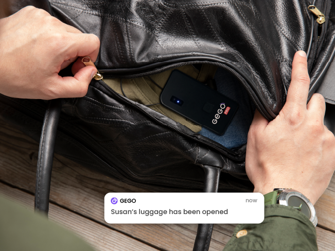 GEGO PRO Tracker Device – GEGO Shop