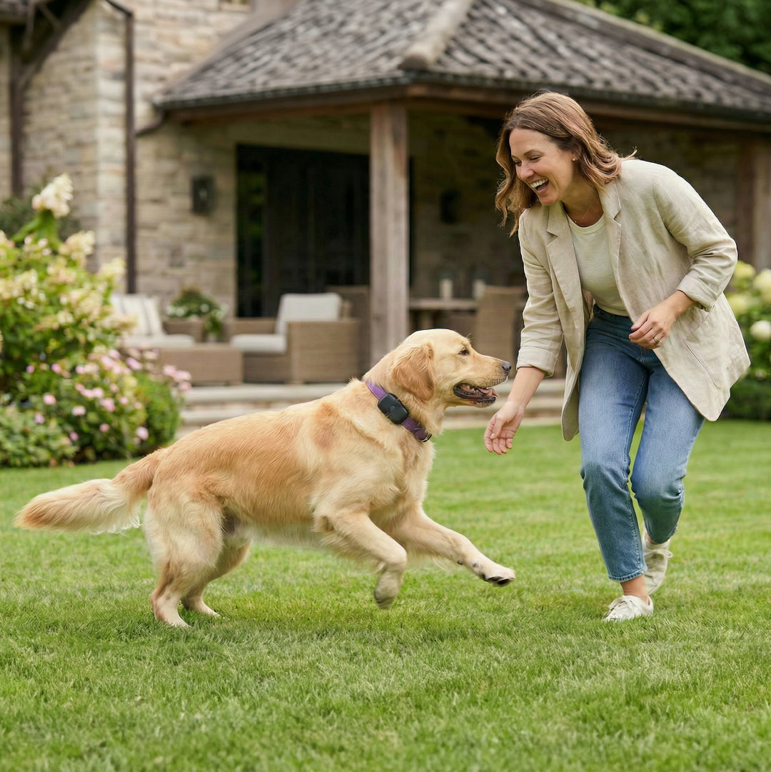 GEGO PET GPS Tracker for pets with Real-Time Global Tracking – GEGO Shop