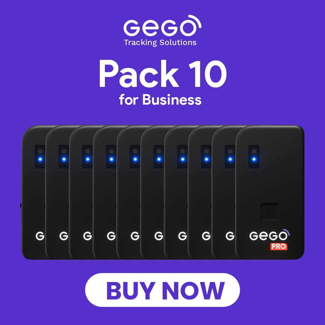 10 GEGO PRO + Annual Plan for Business – GEGO Shop